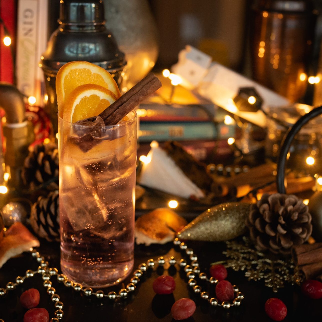 Winter Gin and Tonic - Perfect Serve: Manchester Gin Winter Spiced